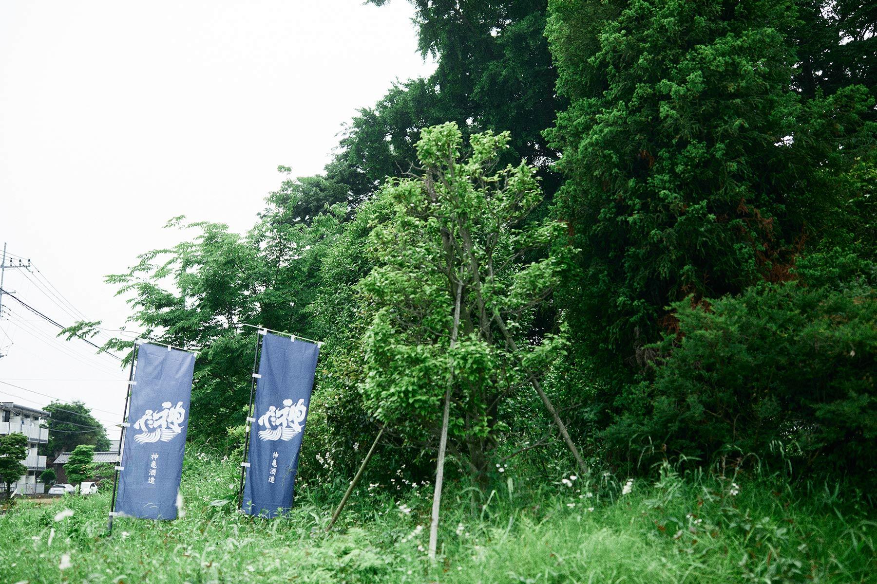 深い信頼で結ばれた得難き友、「ニシザワ酒店」西澤亨さん① | 「日本酒を変えた」男 ～神亀・小川原良征“センム”の軌跡～ | dancyu (ダンチュウ) | 食こそエンターテインメント！